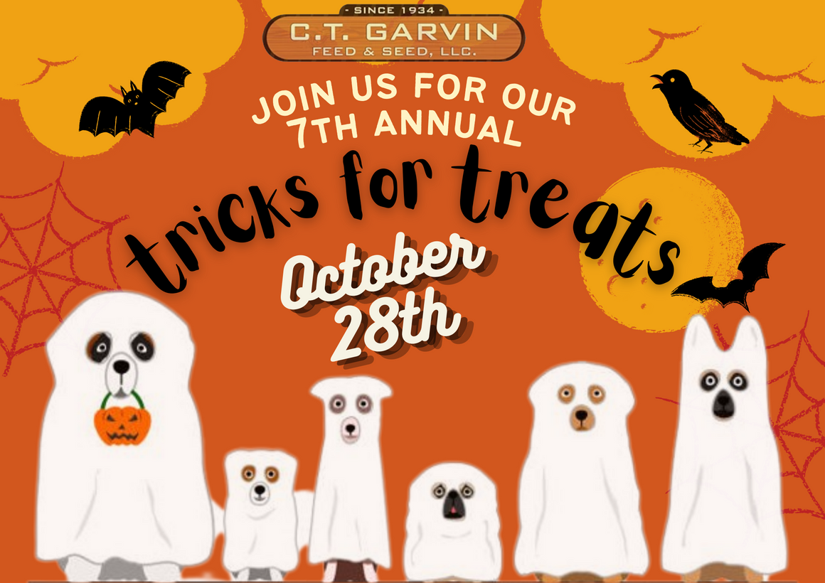 Lawn & Garden, Pet & Feed | CT Garvin Feed & Seed | Huntsville, AL